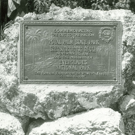 The History of Homestead